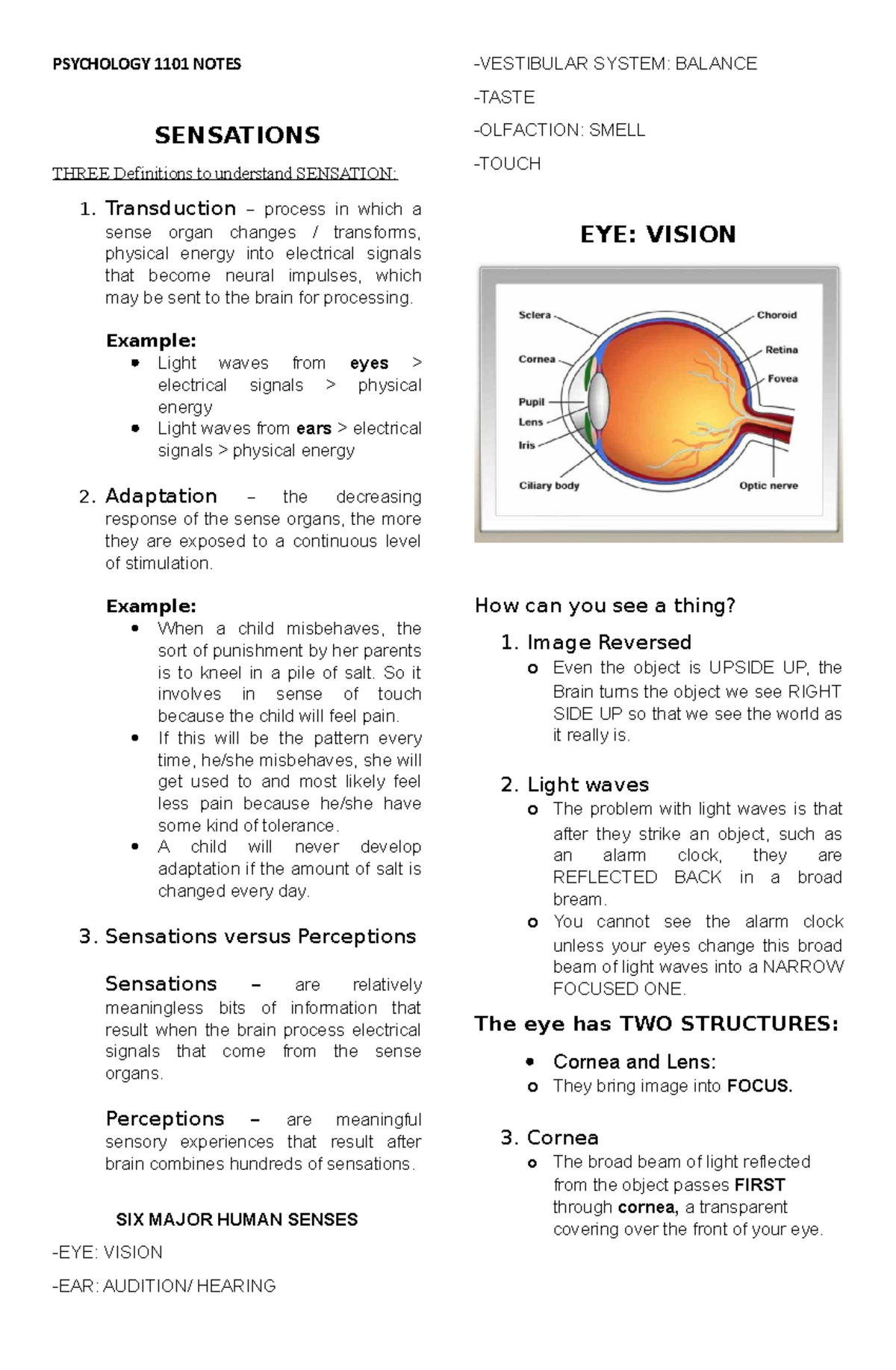 Introduction to Psychology Sensations and Perceptions - PSYCHOLOGY 1101 ...