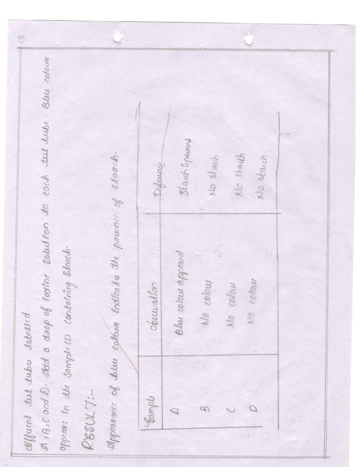 Physiology Experiments - 1 different test tube labelled A IB,C and D ...