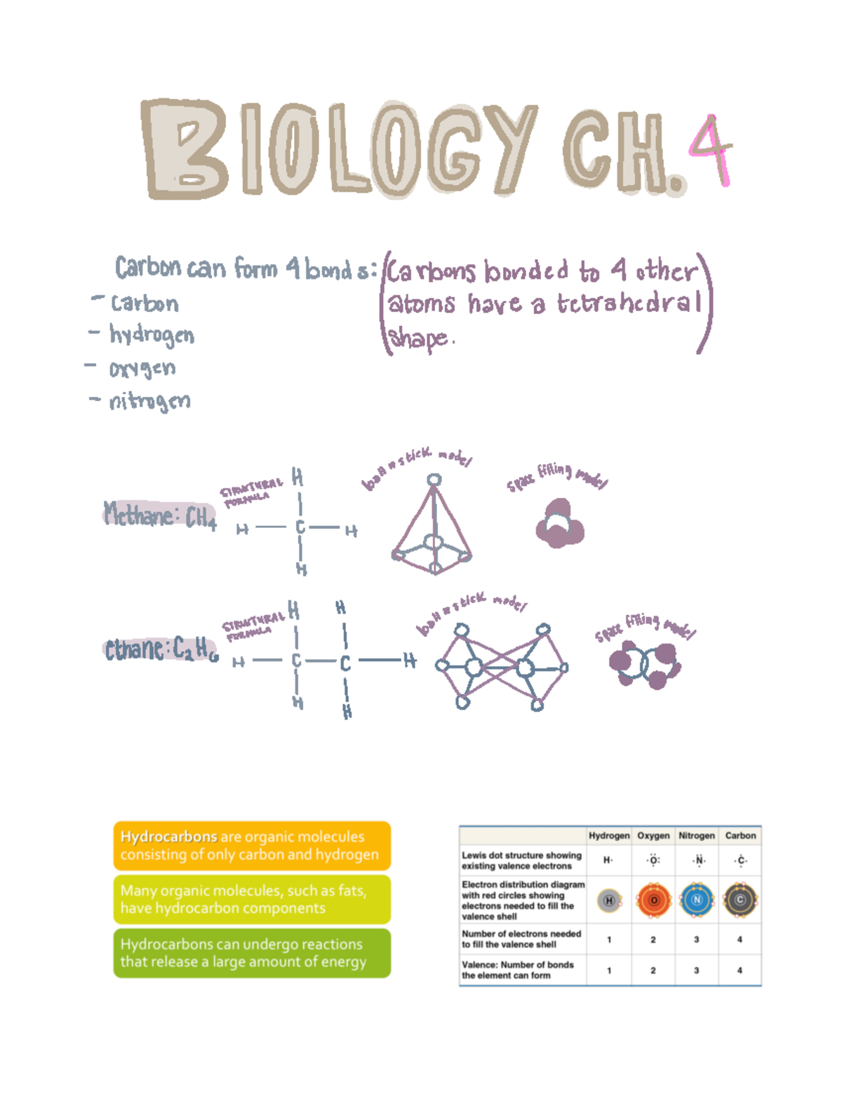 Bio chapter 4 notes - 18006008880. Carboncanformabonds gjbeo bonded to ...
