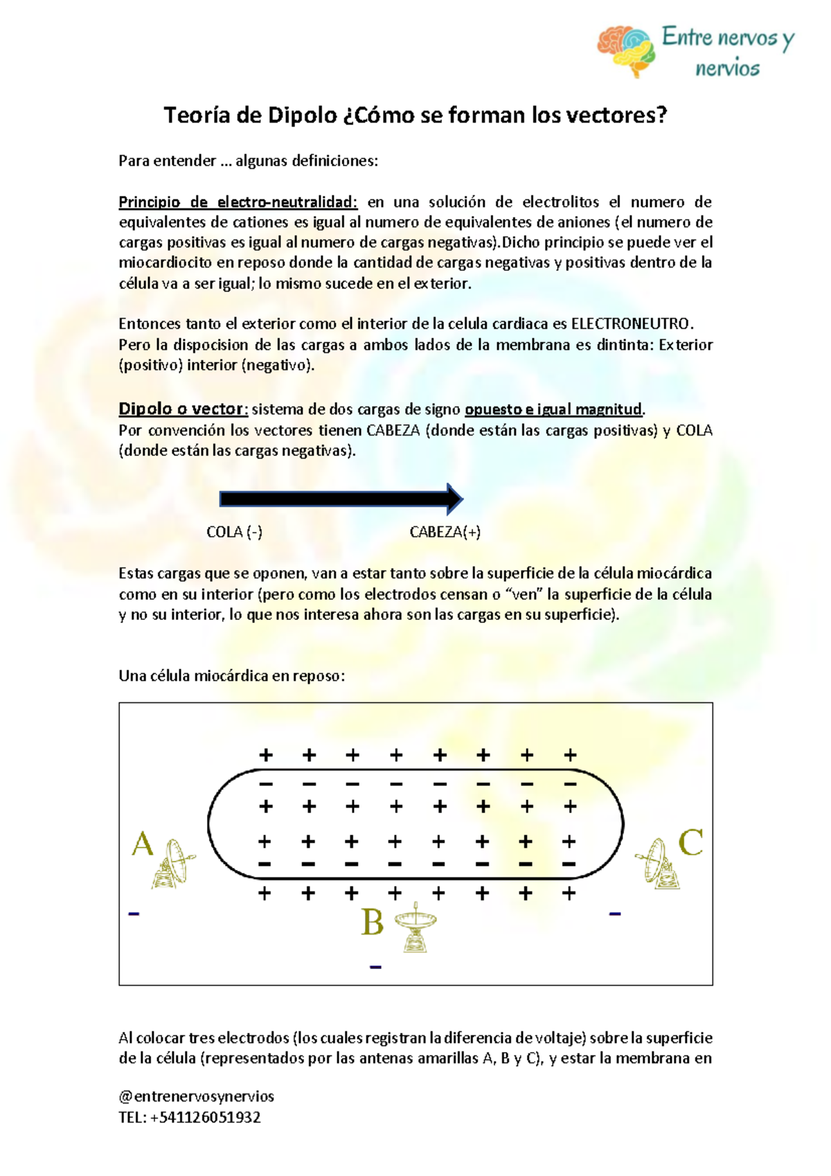 Teoría de Dipolo - @entrenervosynervios Teoría de Dipolo ¿Cómo se ...