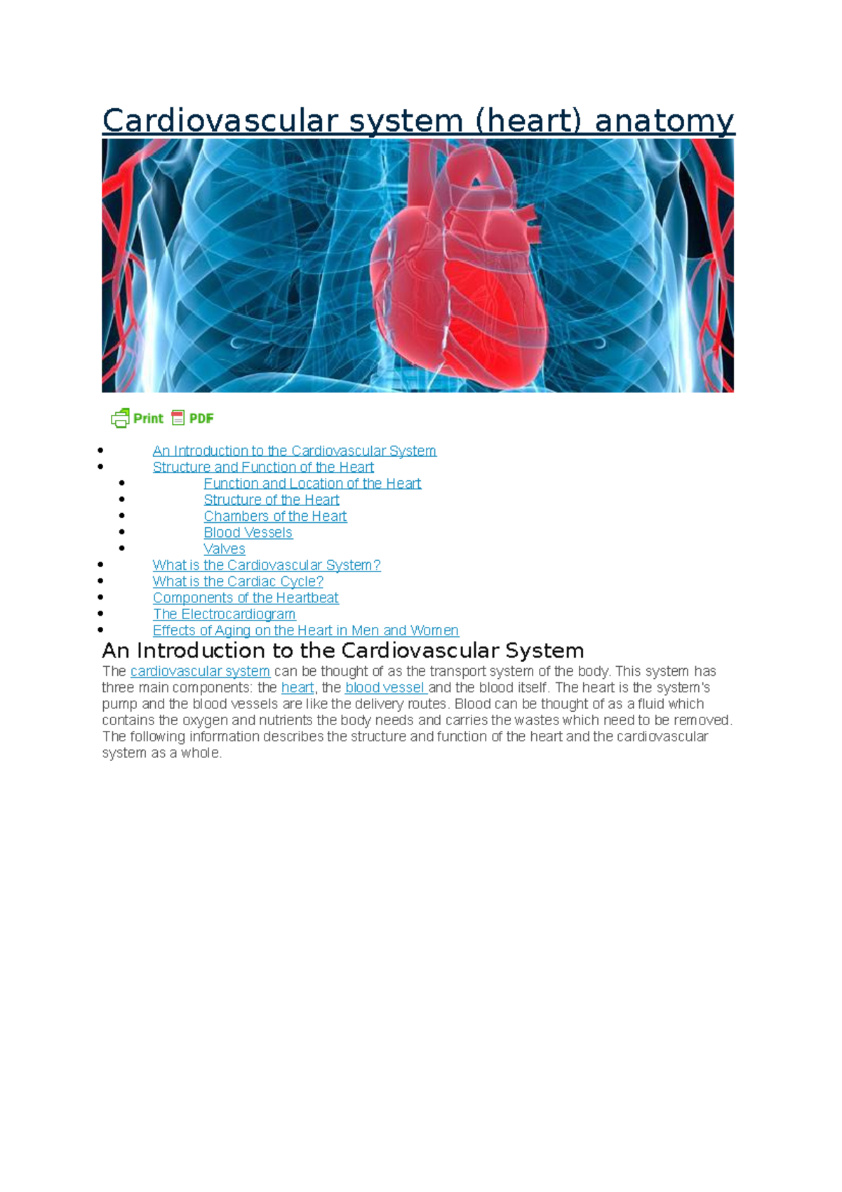 Anatomy-Report - Cardiovascular system (heart) anatomy An Introduction ...