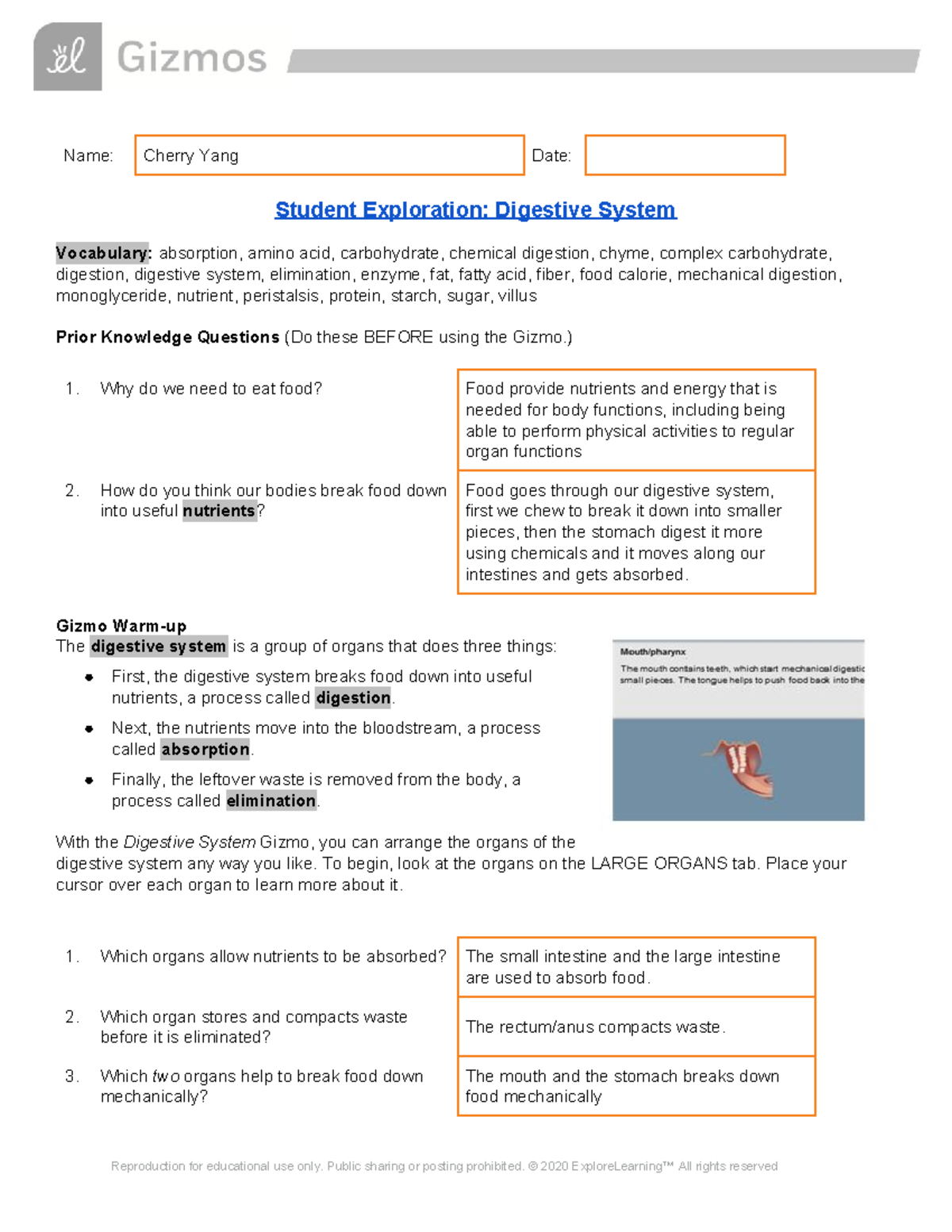 526739575 Digestive System SE Activity a B - Student Exploration ...