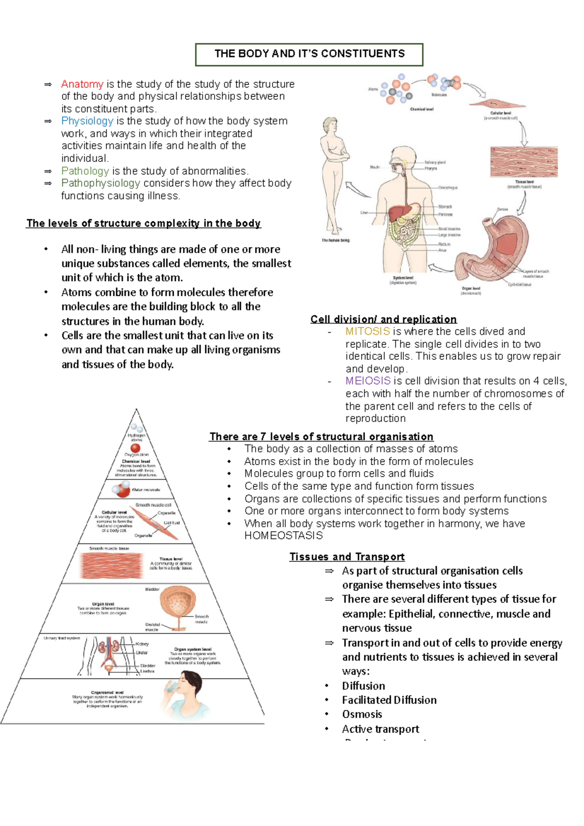 The body and it's constituents - SPM1020 - Northampton - Studocu