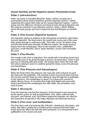 The Human Nervous & Endocrine sytem - The Human Endocrine and Nervous ...