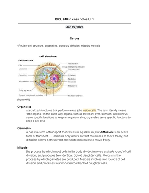 [Solved] SWOT Analysis for JD Sports - Fundamentals Of Human Anatomy ...