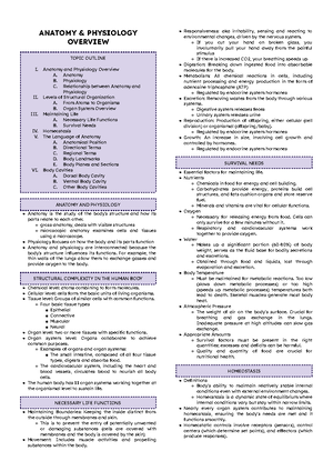 Anaphy- Notes-C4 - MUSCULOSKELETAL SYSTEM TOPIC OUTLINE I. Overview of ...