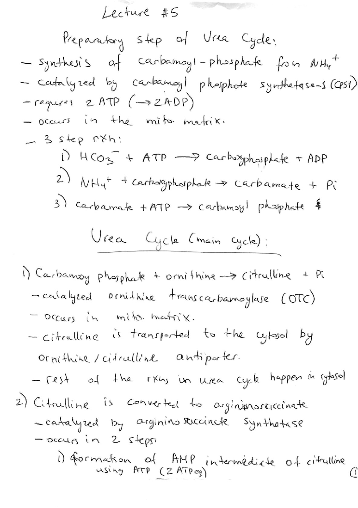 Lecture 5 - ubc notes files - BIOC 302 - Studocu