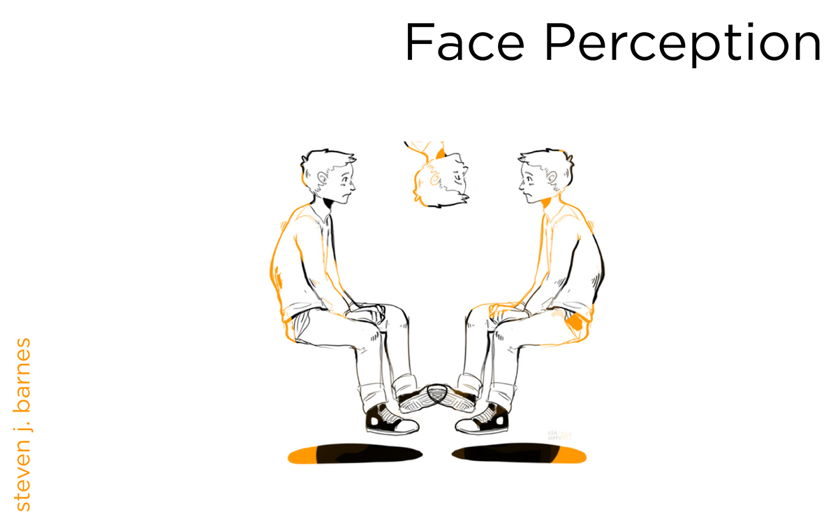 Face Perception Final - Barnes - Face Perception steven j. barnes ...