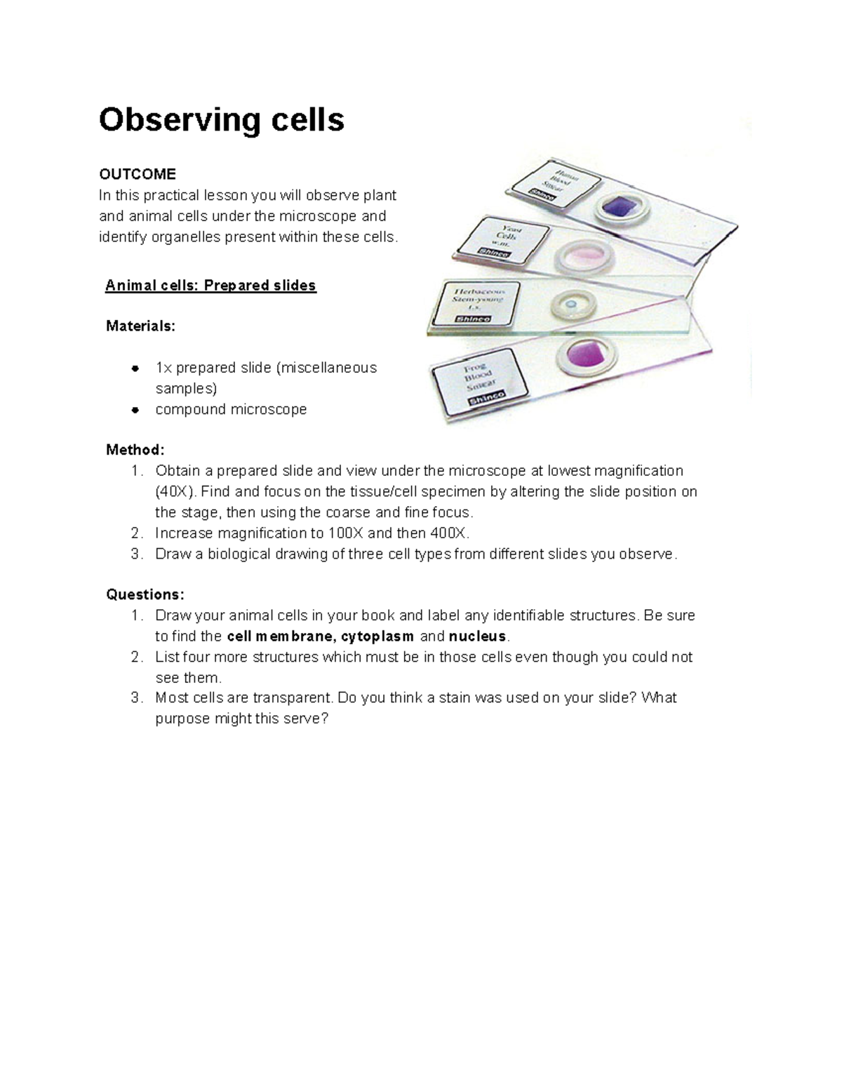 Observing cells practical - onion, elodea and prepared slides ...