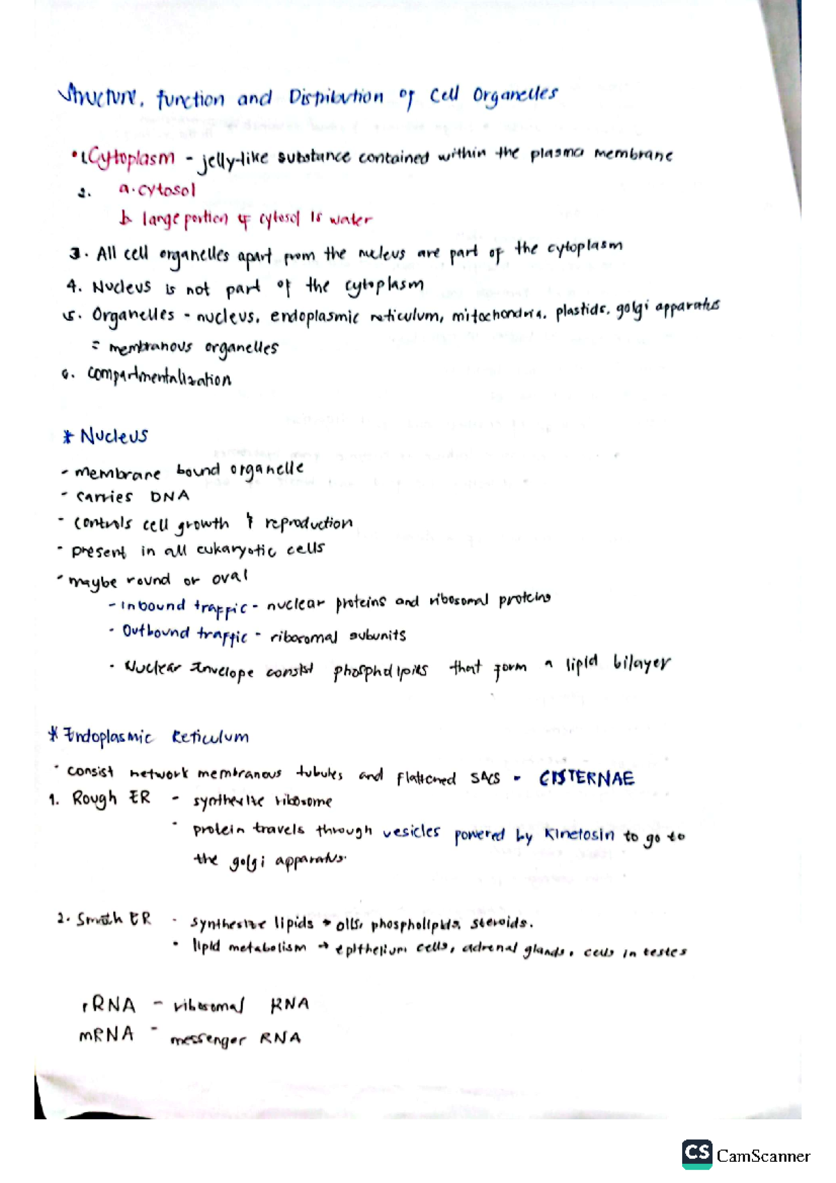 ELS Notes - Earth Science - CamScanner CamScanner - Studocu