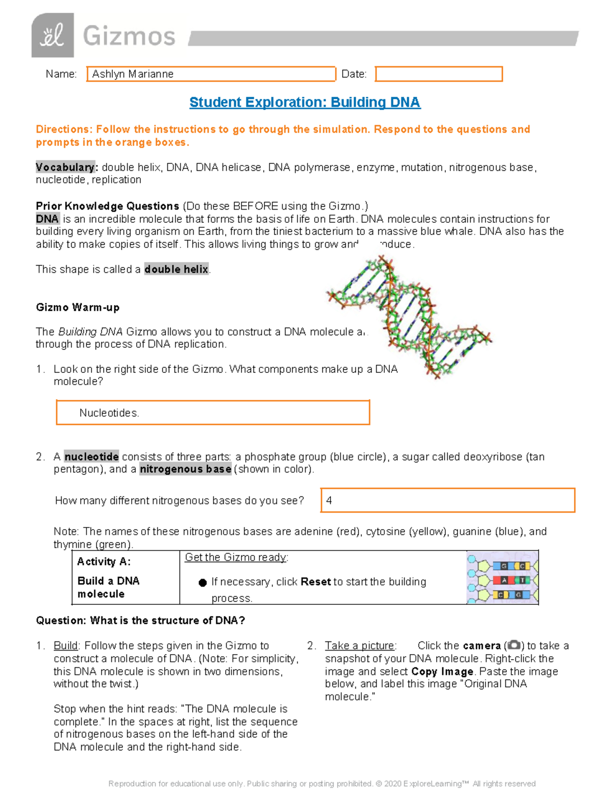Student Exploration Building DNA - Name: Ashlyn Marianne Date: Student ...