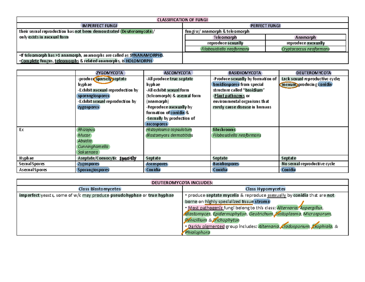 Intro Medical Mycology Part 8 - CLASSIFICATION OF FUNGI IMPERFECT FUNGI ...