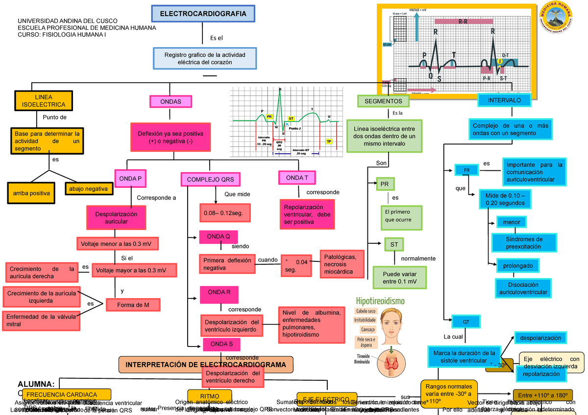 Mapas de ekg - cuando siendo Que mide es es UNIVERSIDAD ANDINA DEL CUSCO ESCUELA PROFESIONAL DE ...