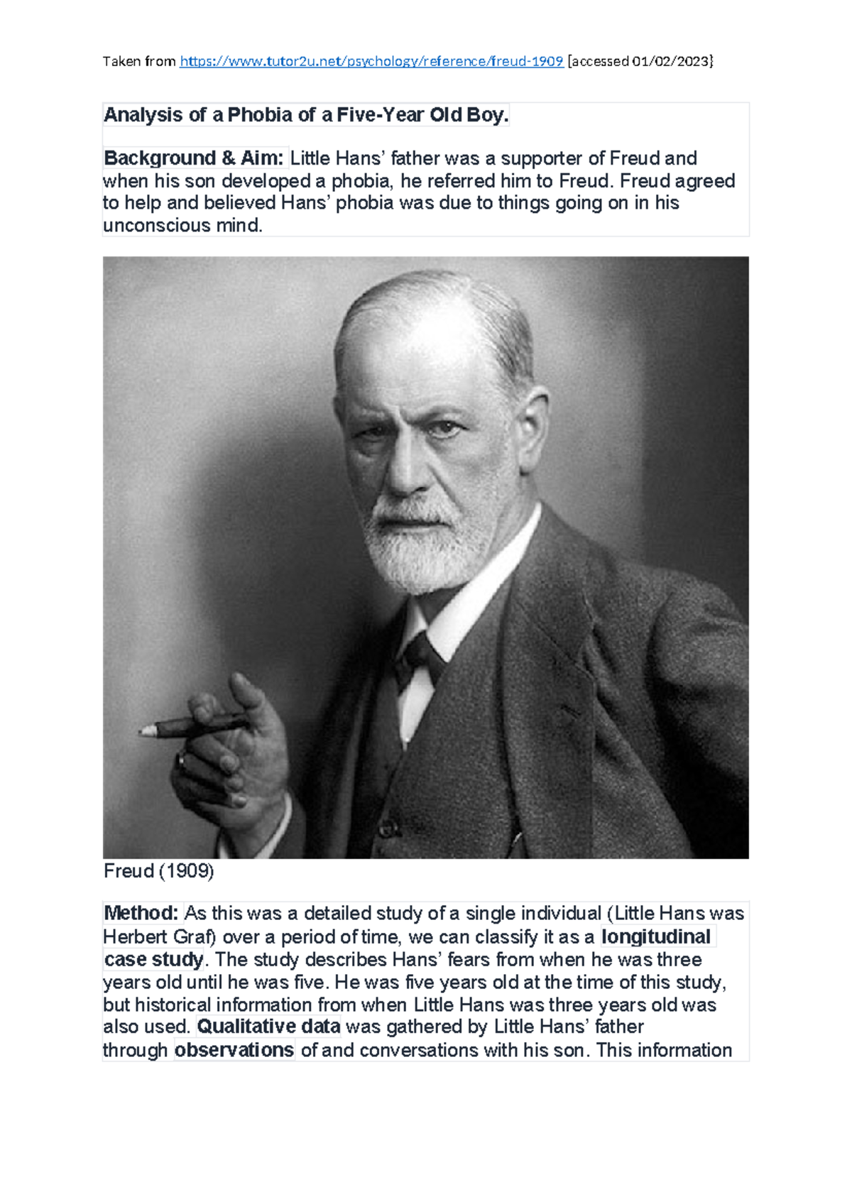 Little Hans activity - Analysis of a Phobia of a Five-Year Old Boy ...