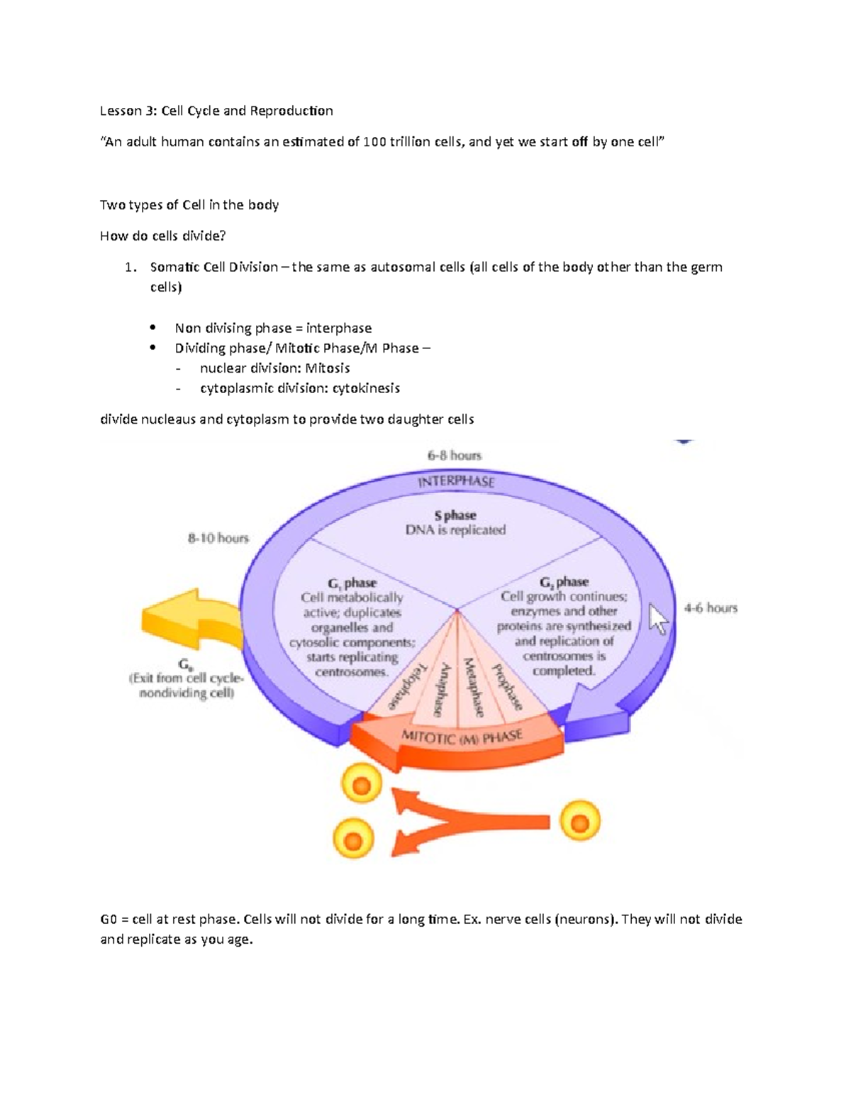 Lec 3 Cell Cycle and Reproduction - Lesson 3: Cell Cycle and ...
