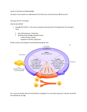 Anatomy of the Composite Cell - Anatomy of the Composite Cell Activity ...