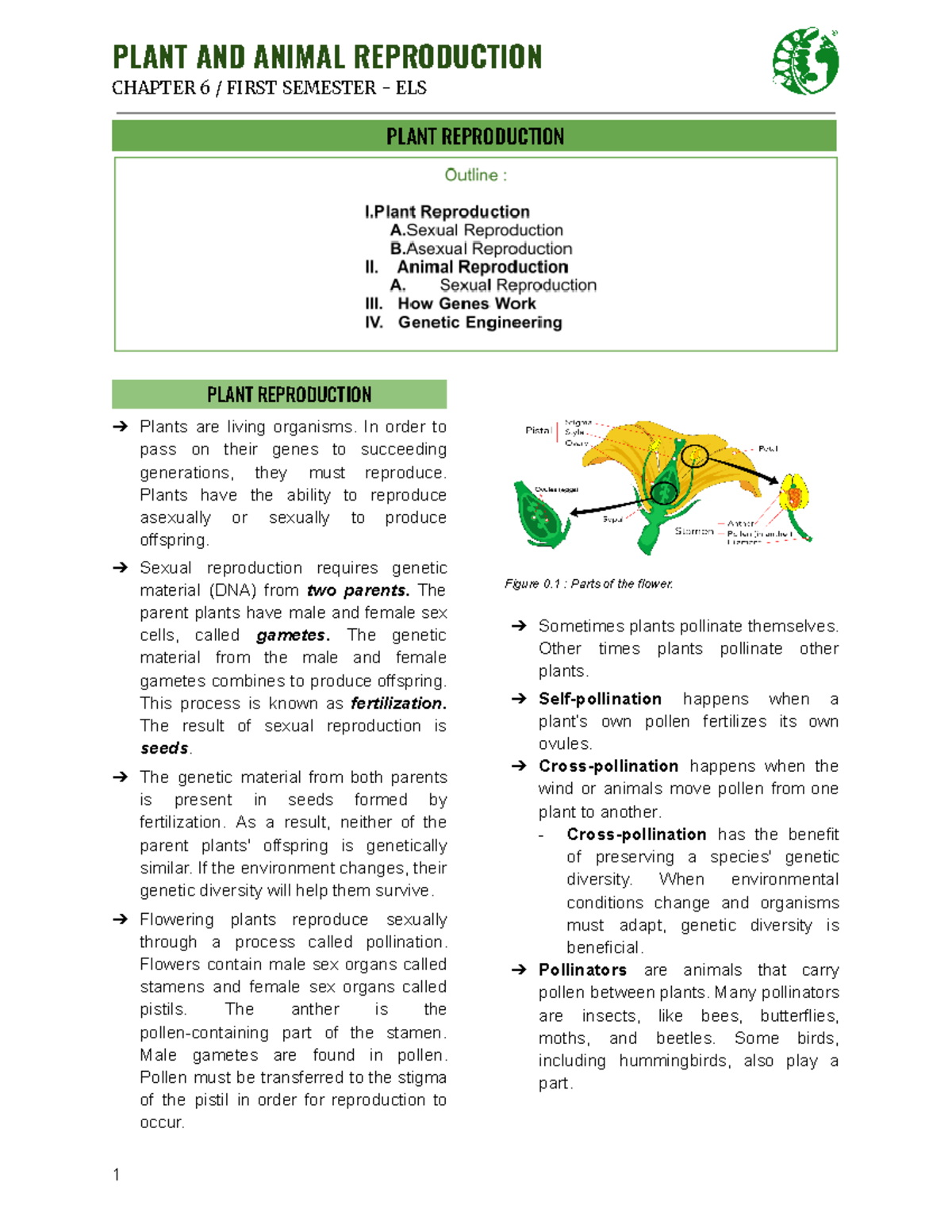 ELS Lecture Notes - CHAPTER 6 / FIRST SEMESTER - ELS ...