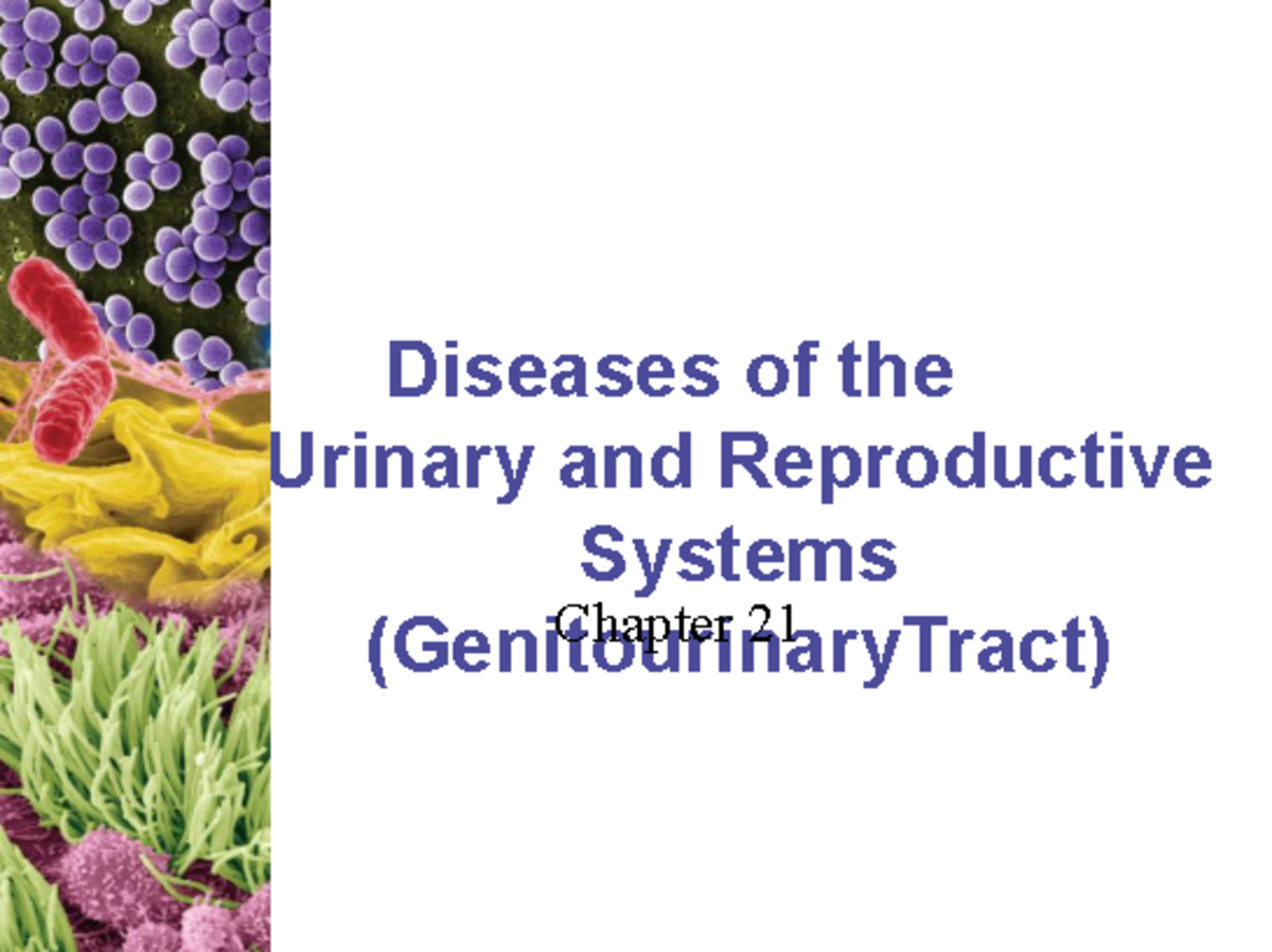 38-39 Urogen 21 - Chapters 38 and 39 Lecture Notes - Diseases of the ...
