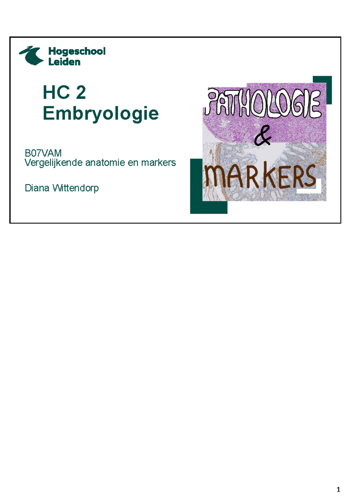 B07 VAM HC2 Embryologie Wt 2324 handout - HC 2 Embryologie B07VAM ...