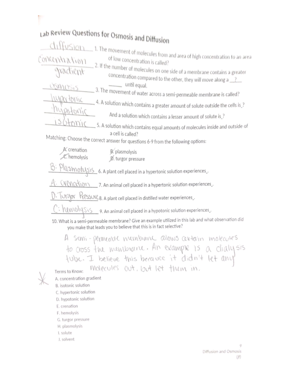 Bio Lab Questions Week 3 - Lab Review Questions for Osmosis and ...