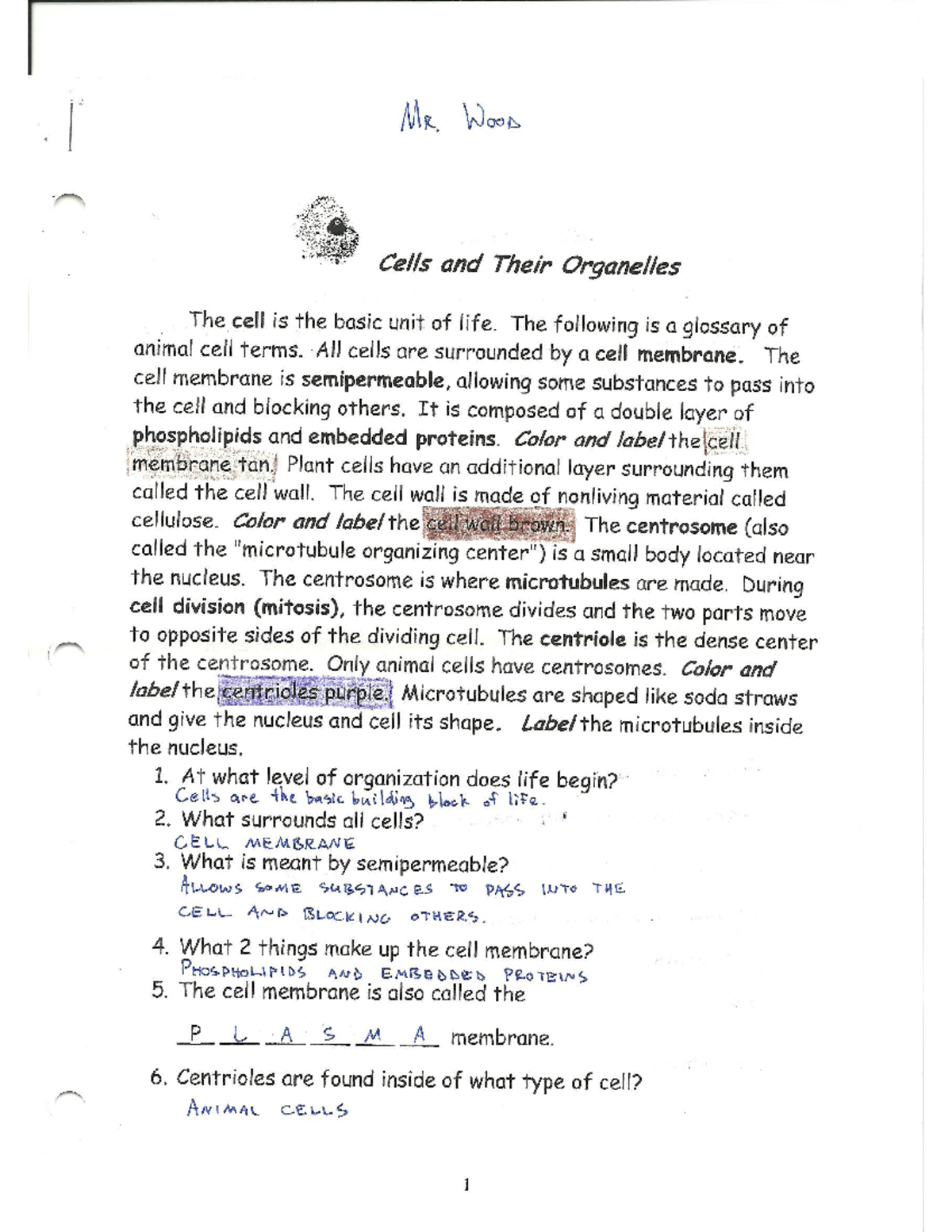 Packet - cells and their organelles packet answers - Studocu