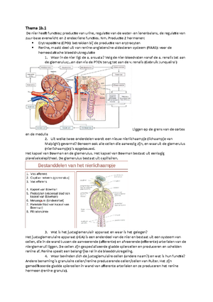 Anatomie aantekeningen anatomie, histologie en pathologie module 10 TG - ANATOMIE, HISTOLOGIE EN ...