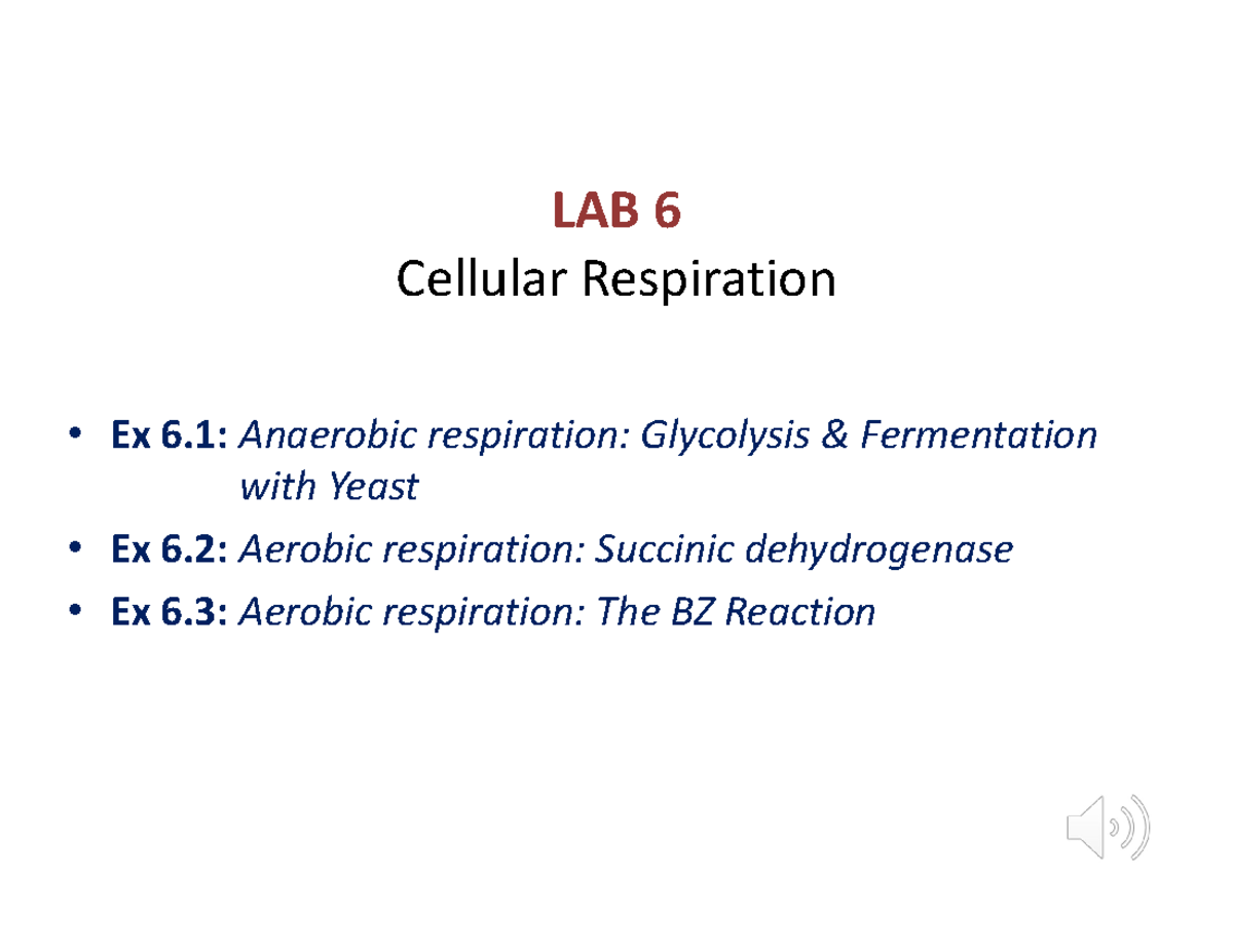 Lab 6 Powerpoint - Cellular Respiration The teacher is Brenna Ritchie ...
