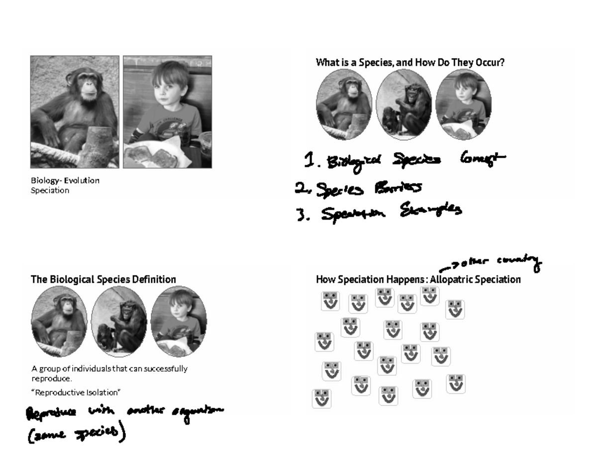 Speciation Biology Evolution Speciation What Is A Species And How Do They Occur The