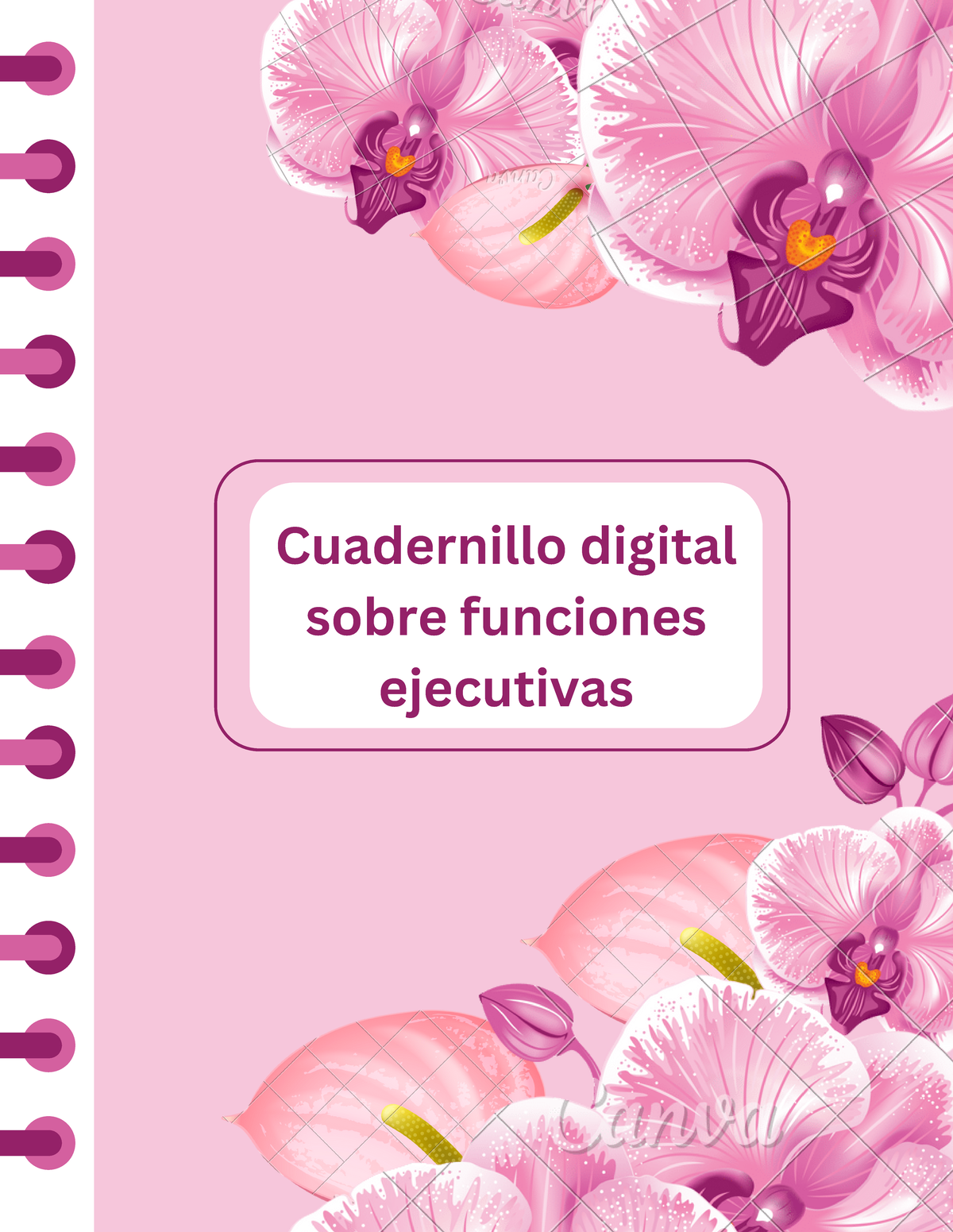 Cuadernillo - ejercicios - Cuadernillo digital sobre funciones ...