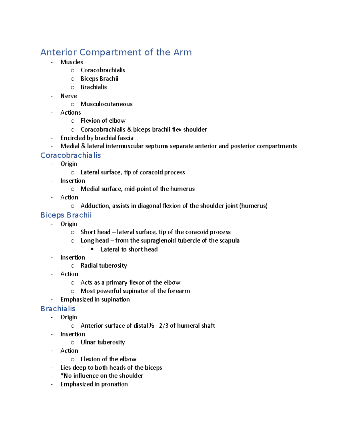 Anterior Arm - Anterior Compartment of the Arm Muscles o ...