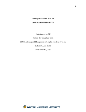 D030 Executive Summary - Phase 3 CPE: Executive Summary A chief nursing ...