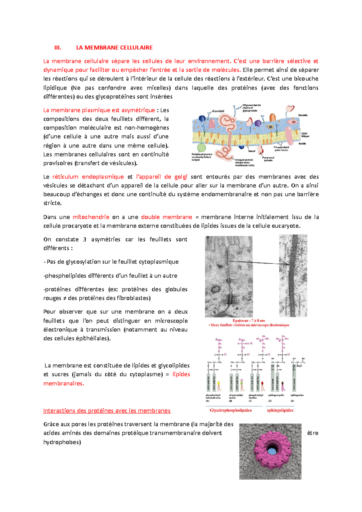 La Membrane Cellulaire - III. LA MEMBRANE CELLULAIRE La membrane ...