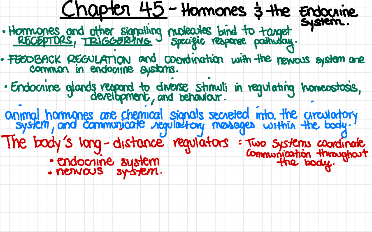 Chapter 45-Hormones; the Endonine - Chapter 45-Hormones & the Endocrine ...