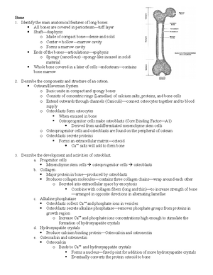 Physiology Quiz Qs form Netter - GI Chapter 22 : Overview of the ...