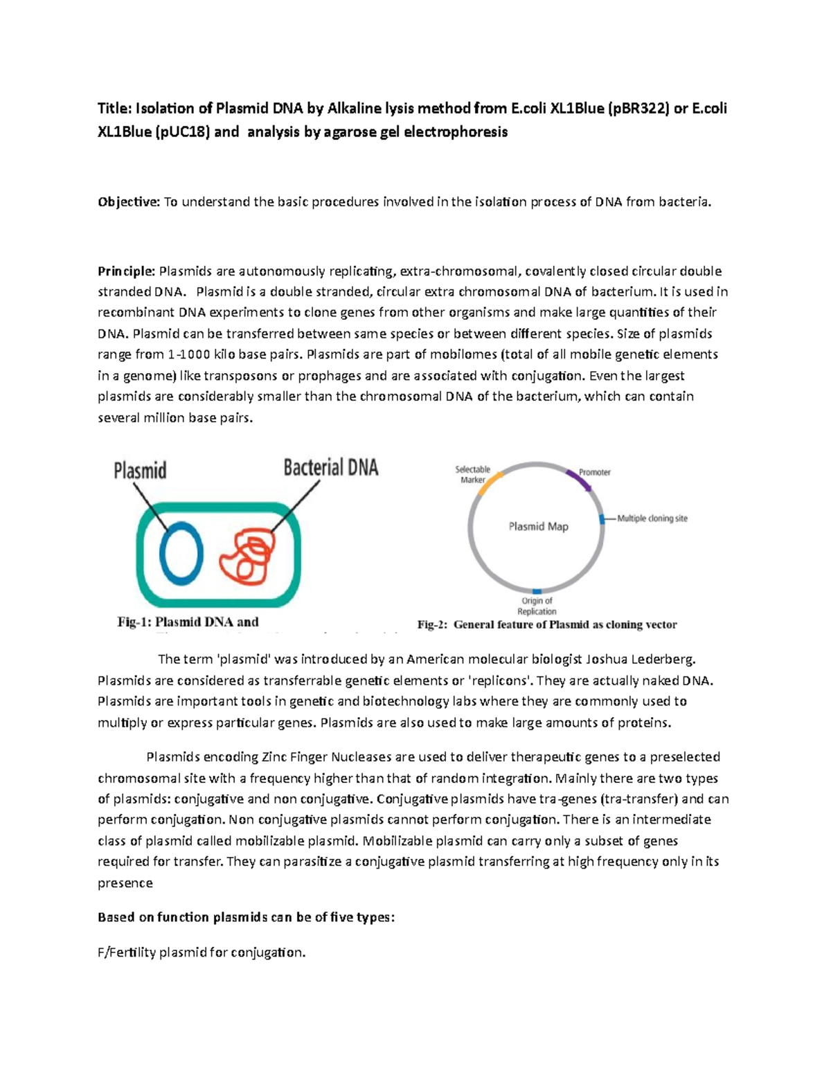 Isolation of Plasmid - Principle: Plasmids are autonomously replicating ...