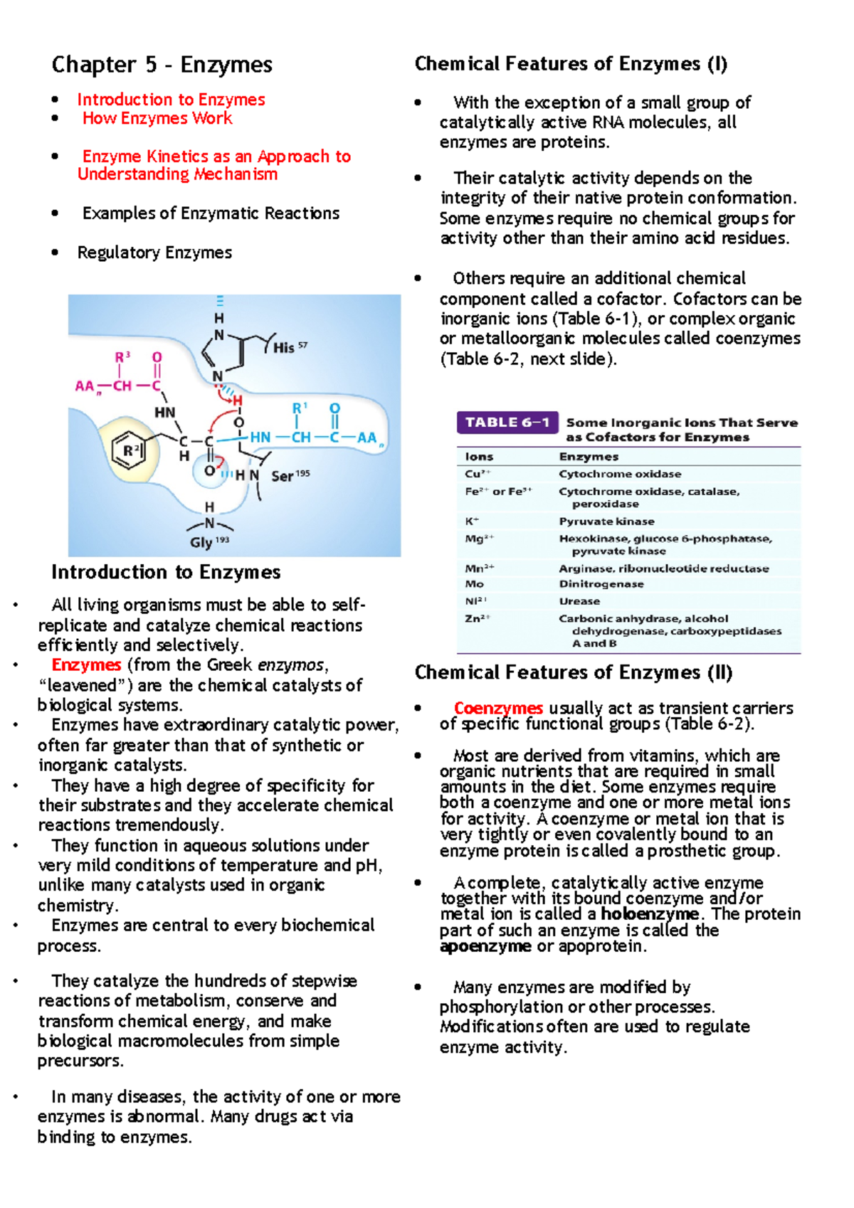 Chapter 6: Enzymes and how it works. - Chapter 5 – Enzymes Introduction ...