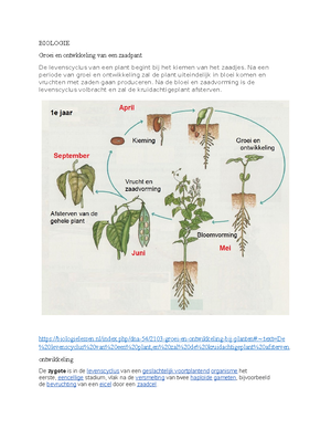 Groei EN Ontwikkeling BIJ Zaadplanten - GROEI EN ONTWIKKELING BIJ ...