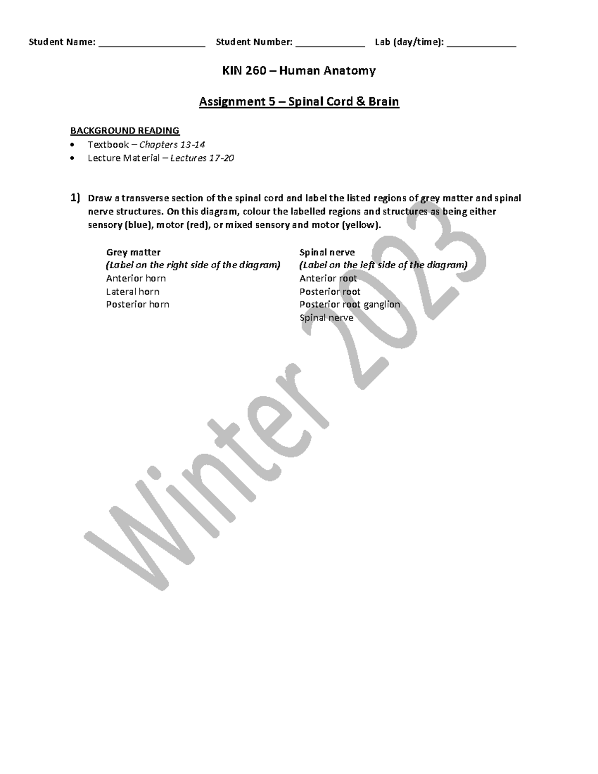 Lab 5 - Assignment - Lab 5 Practice - Student Name ...