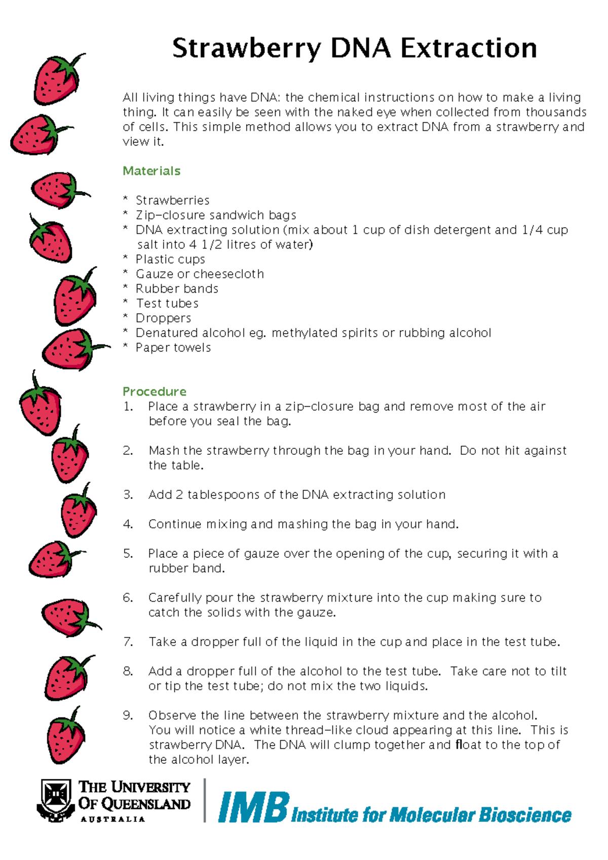 Strawberry DNAextraction - Strawberry DNA Extraction All living things ...