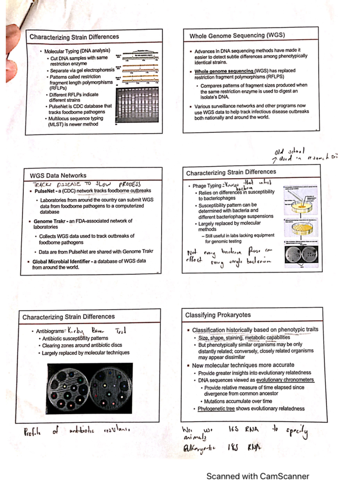 Cam Scanner 04-17-2023 22 - BIO-2010 - Studocu