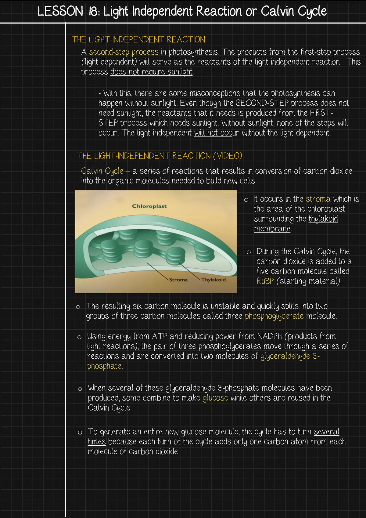 Lesson 18: Light Independent Reaction or Calvin Cycle - LESSON 18 ...