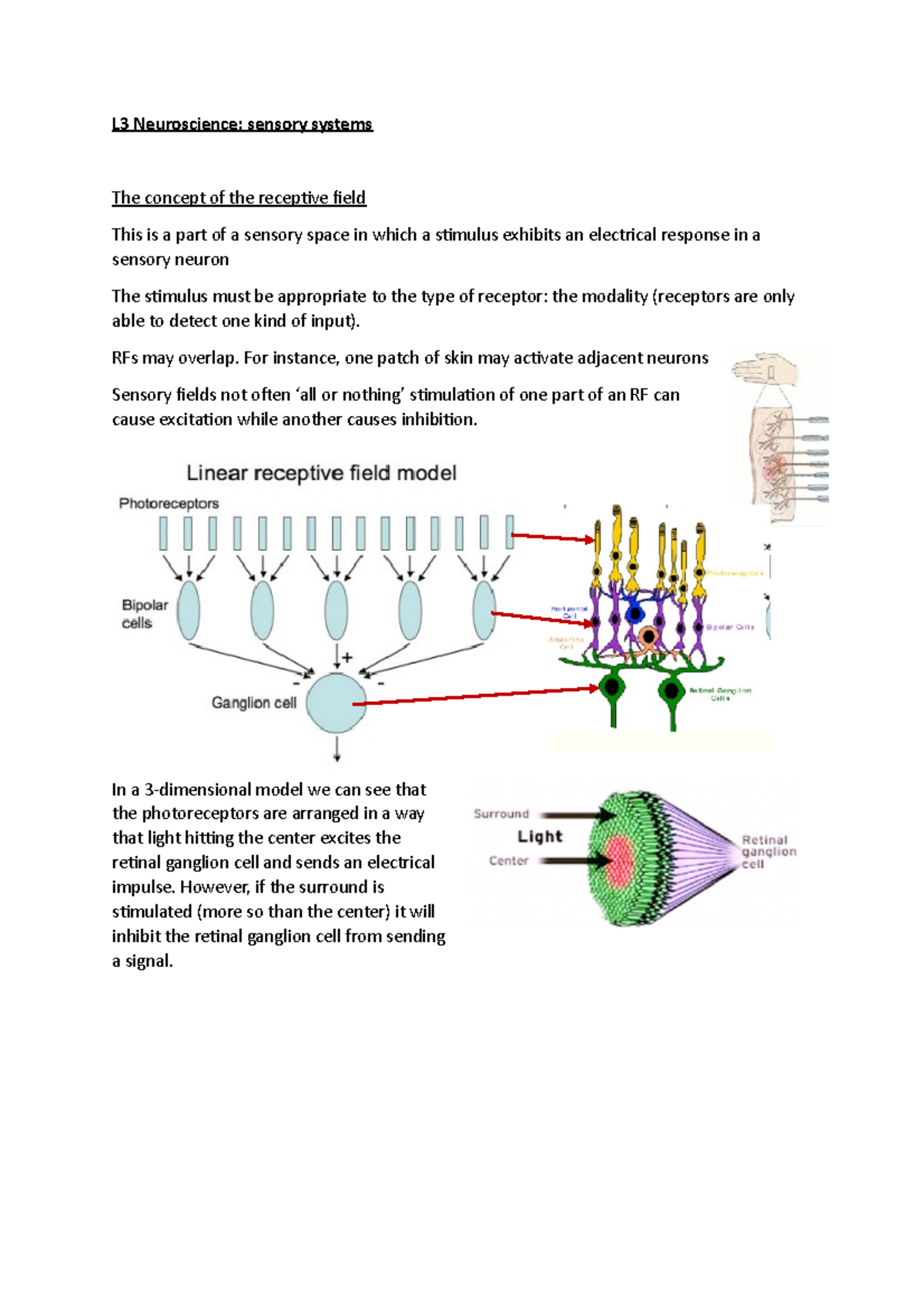 L2 neuroscience - sensory systems - L3 Neuroscience: sensory systems ...