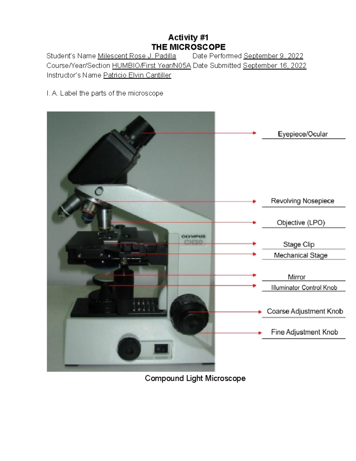 Lbygezo N05A Padilla, Milescent ROSE ACT 1 - Activity THE MICROSCOPE ...