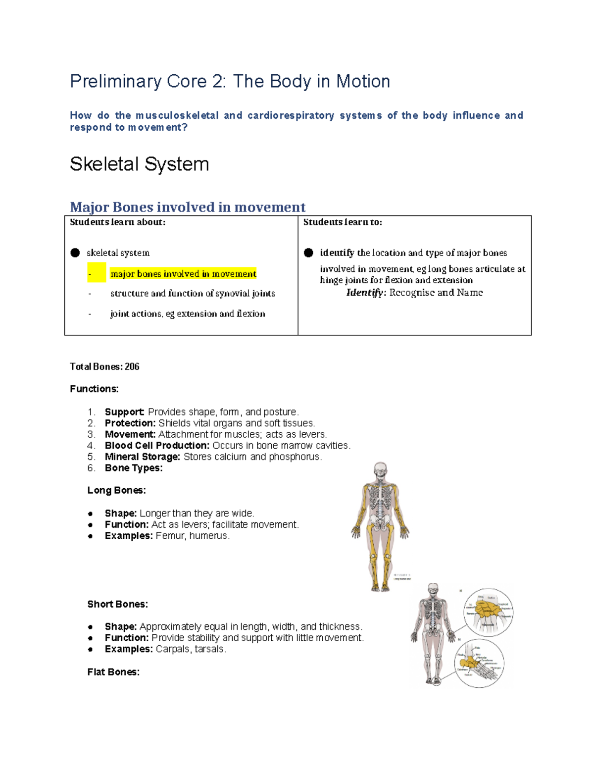 Pdhpe Term 2 Exam - kb n.nm - Preliminary Core 2: The Body in Motion ...