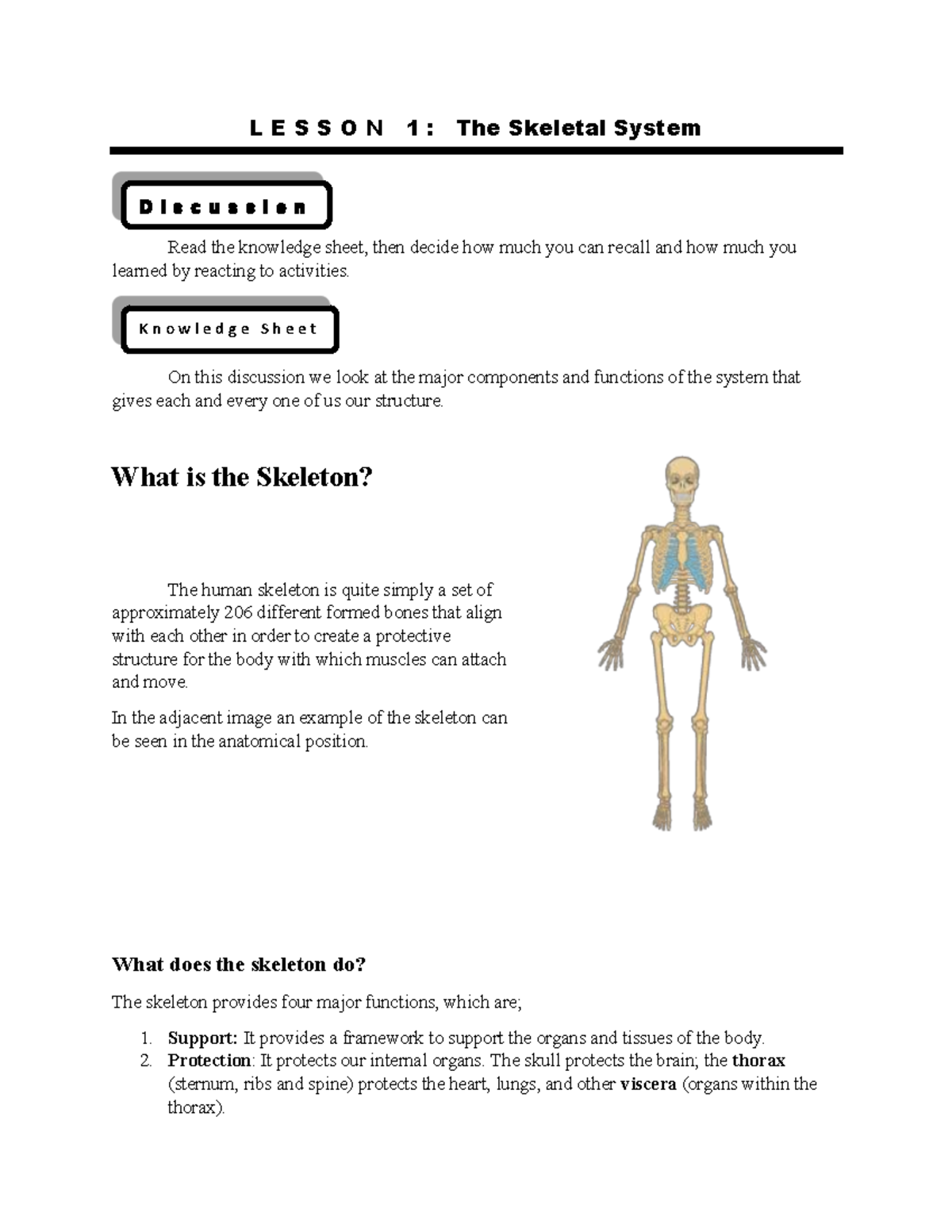 Lesson 1 - The Skeletal System - L E S S O N 1 : The Skeletal System ...