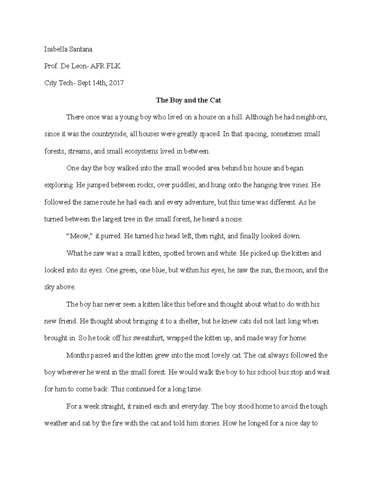 The boy and cat - Creative Writing assignment Write an original ...