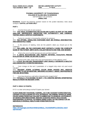 (BIO 024) LAB Activity 7 Enzymes - Name ...