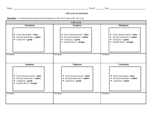 Magpies themes chart 1 - Themes in AP U. History (MAGPIES) Theme Focus ...