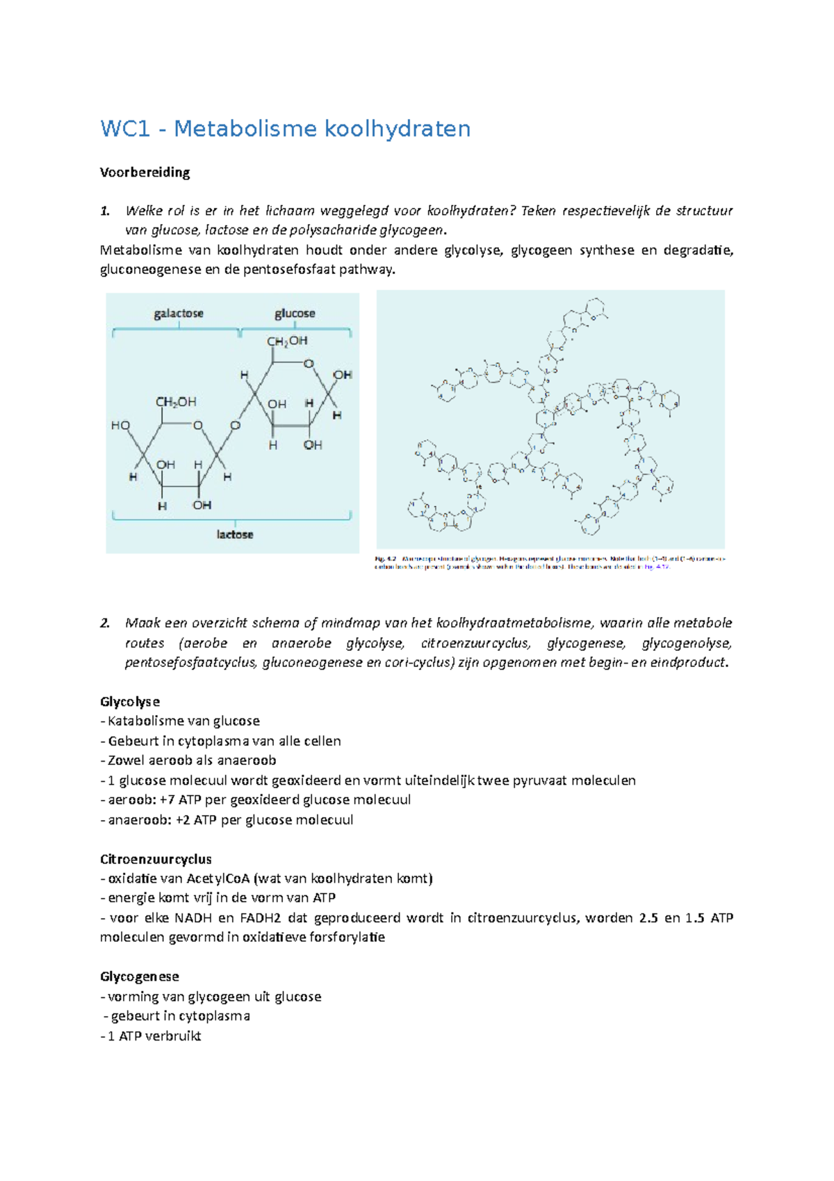 WC1 - Welke rol is er in het lichaam weggelegd voor koolhydraten? Teken ...