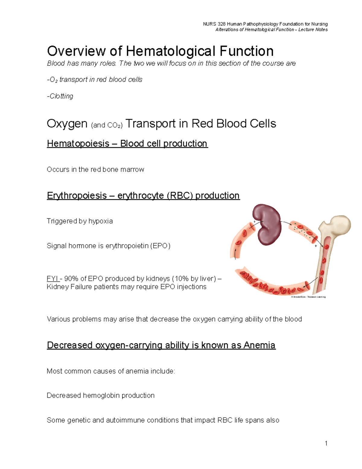 Alterations of Hematological Functions - The two we will focus on in this section of the course ...